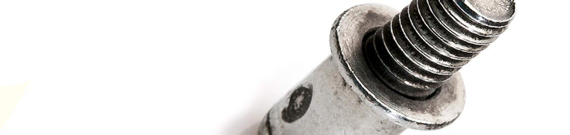 Blind rivets bolts GOBOLT